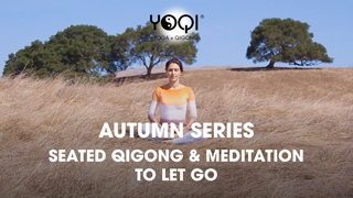 COMPLETE QIGONG FLOW ROUTINES