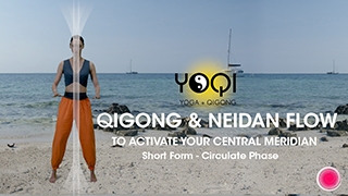 COMPLETE QIGONG FLOW ROUTINES