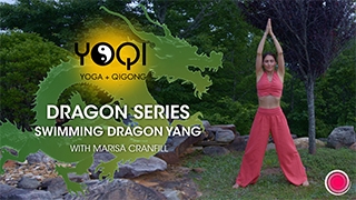COMPLETE QIGONG FLOW ROUTINES