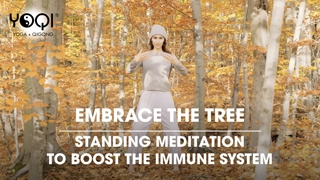 COMPLETE QIGONG FLOW ROUTINES