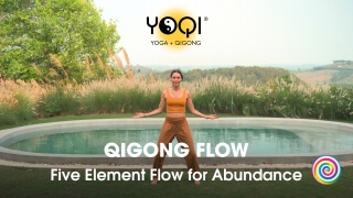 COMPLETE QIGONG FLOW ROUTINES