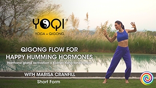 COMPLETE QIGONG FLOW ROUTINES