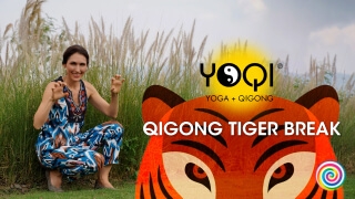 COMPLETE QIGONG FLOW ROUTINES